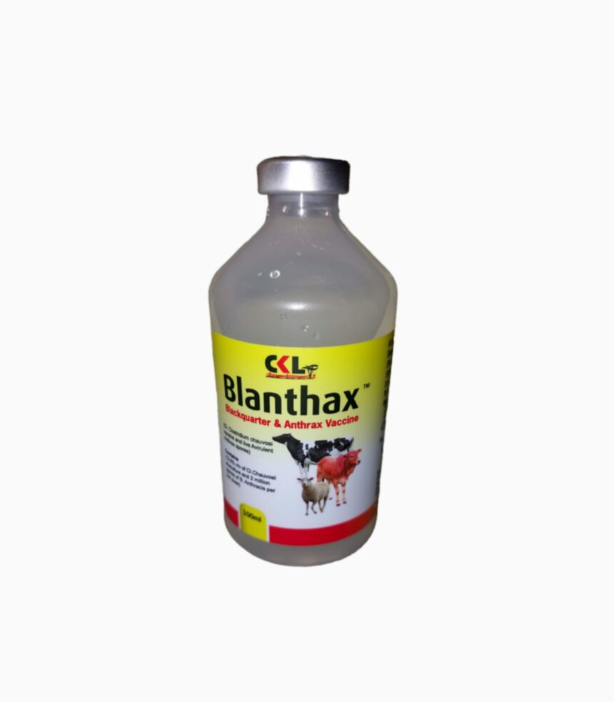 Afyavet Livestock Vaccines GmbH