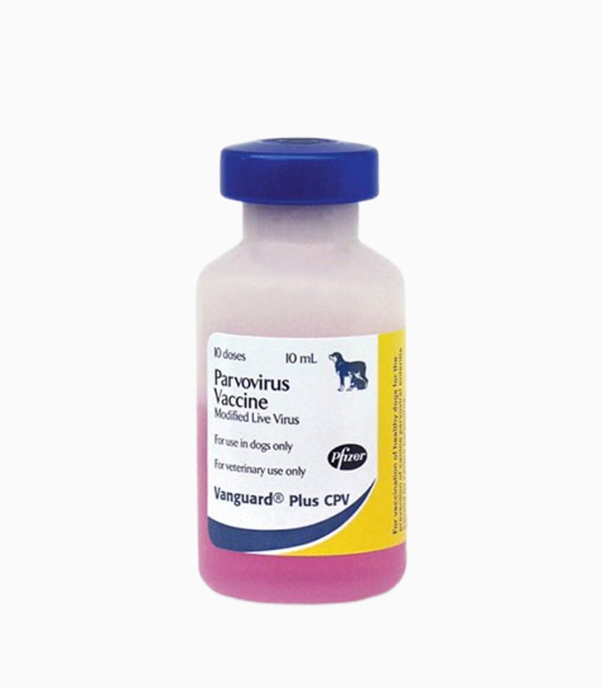 Canine Parvovirus Vaccine 1 Dose