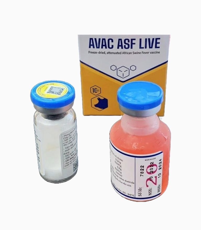 African Swine Fever ASF Vaccine