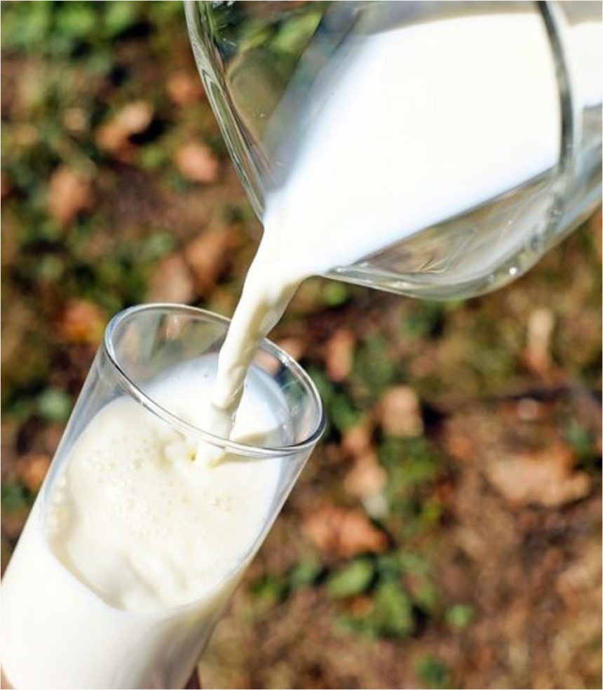 Brucella Melitensis Rev-1 Vaccine 25 Doses