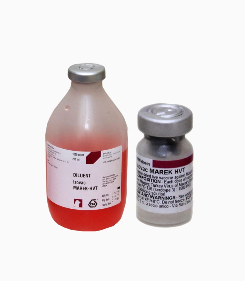 Mareks Disease Vaccine 1,000 Doses